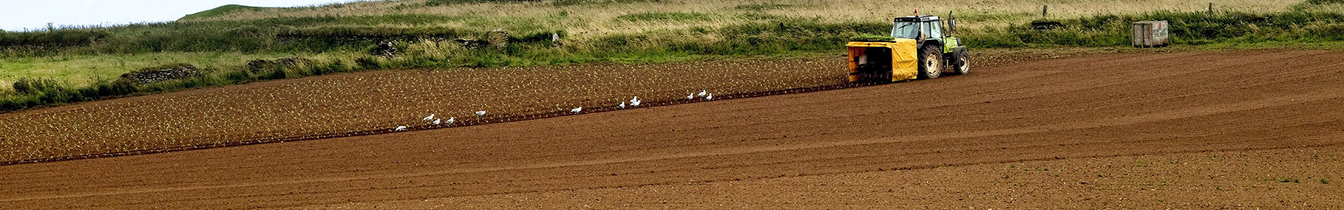 Integrated Crop Management | CrestGroup